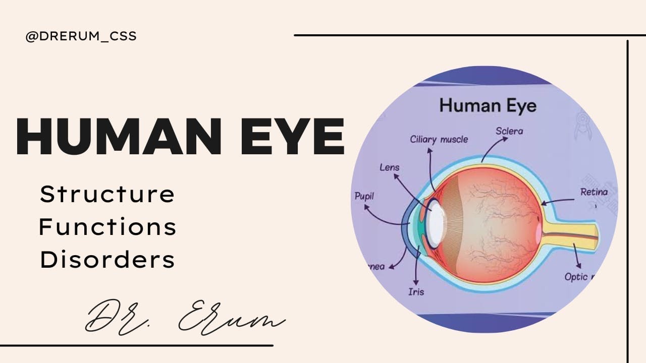 Human Eye (Dr. Erum GSA Lectures) - YouTube