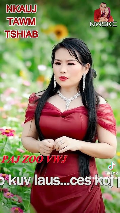 paj zoo vwj: kuv plhis tsis tau - YouTube