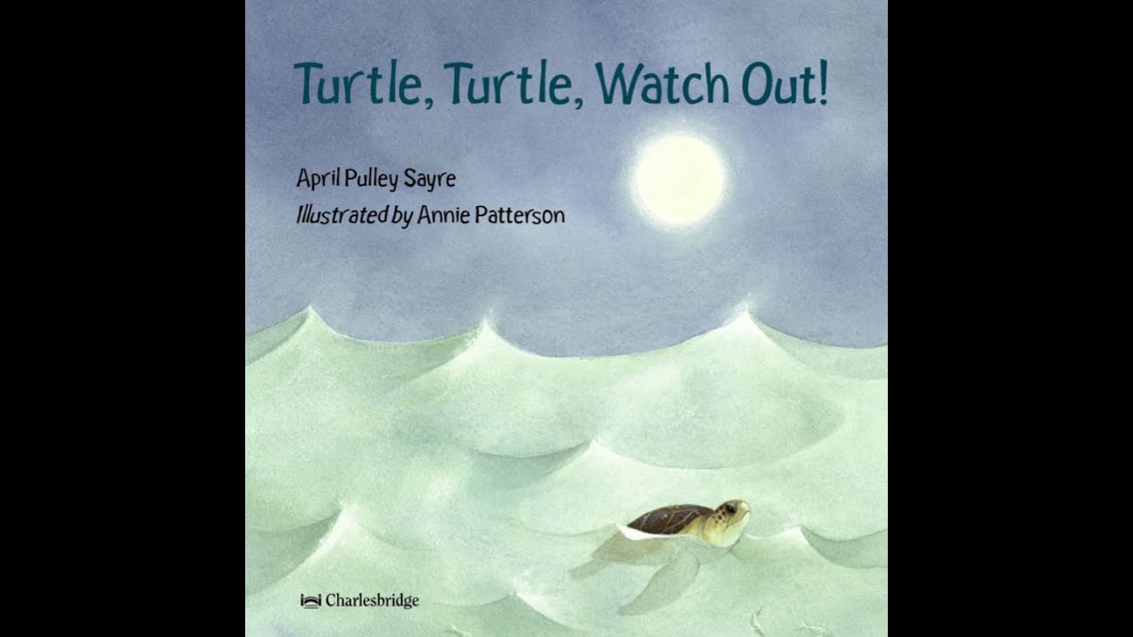 Turtle, Turtle, Watch Out! - Read Aloud - YouTube