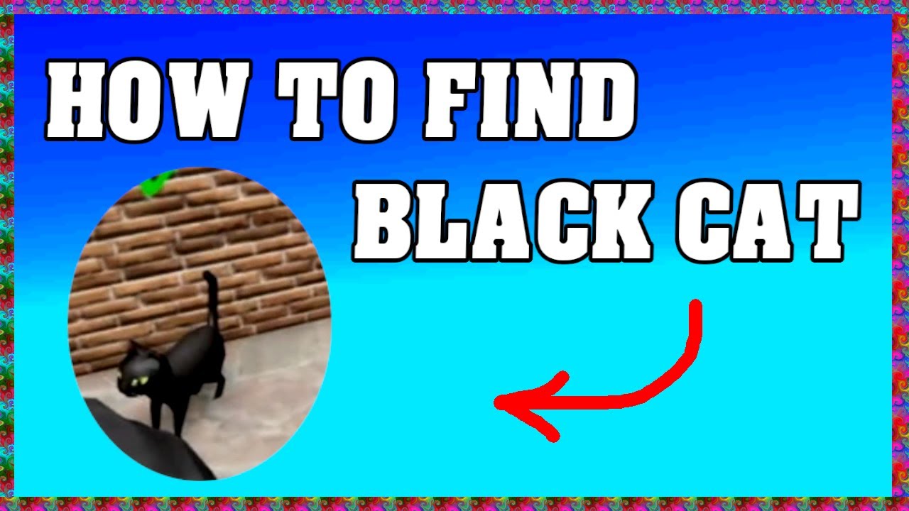HOW TO FIND BLACK CAT in FIND THE CATS ROBLOX ! 😻 - YouTube