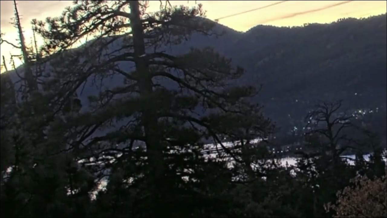 Jackie And Shadows Morning Greeting Fobbv Cam Big Bear Bald Eagle Live Nest Cam 1 Wide View