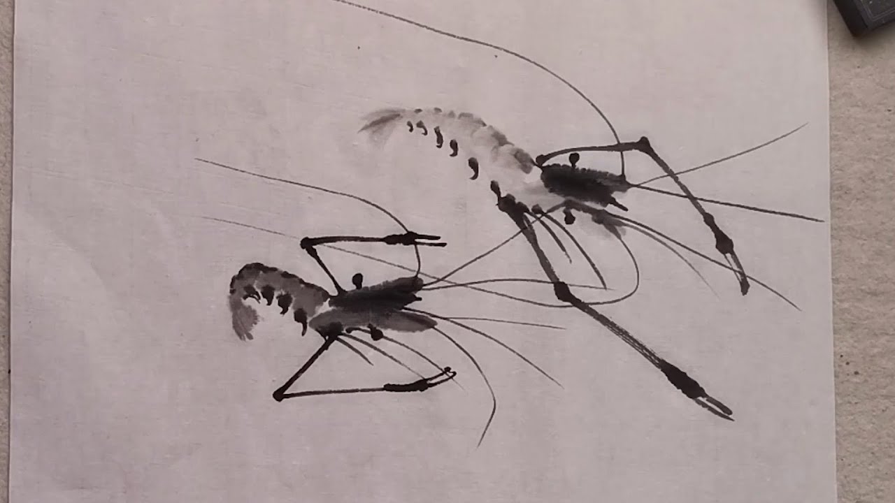 Shrimp in Traditional Chinese ink painting on rice paper - YouTube