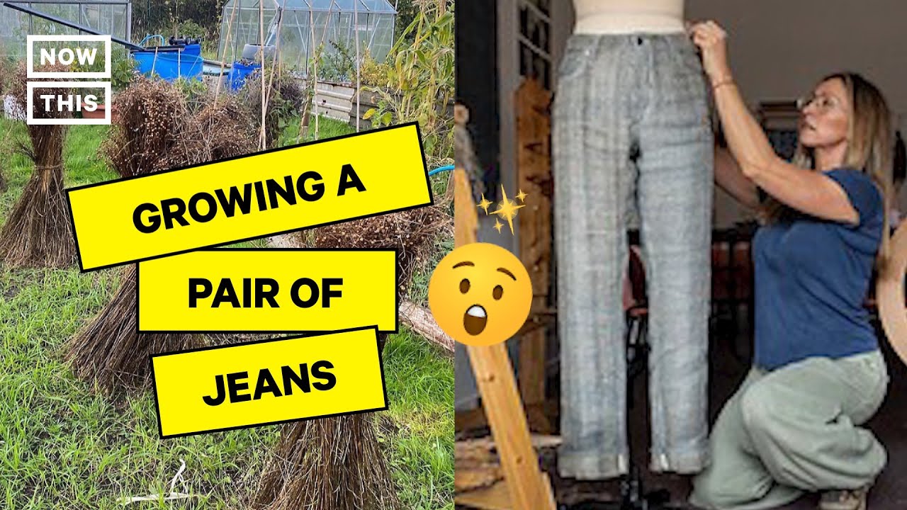 Woman Produces UK’s First Pair of Homegrown Jeans - YouTube