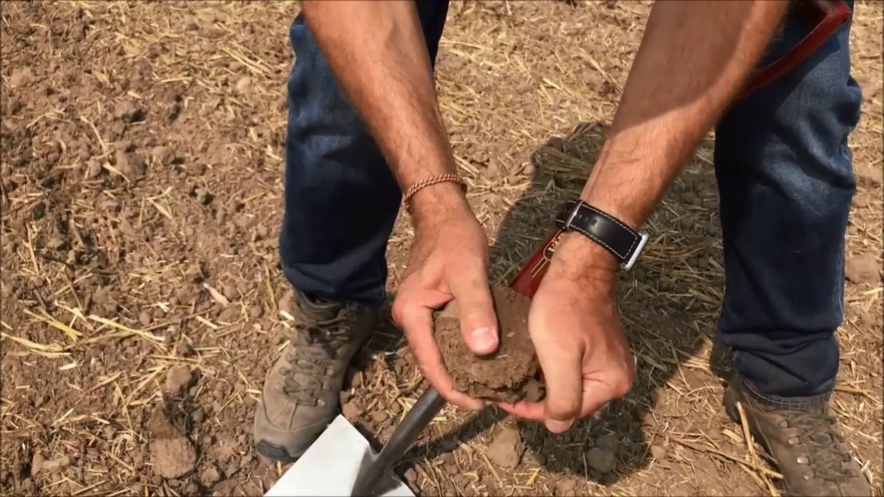 Bodenbearbeitung zur Rapssaat 2018 - Ostholstein - - YouTube