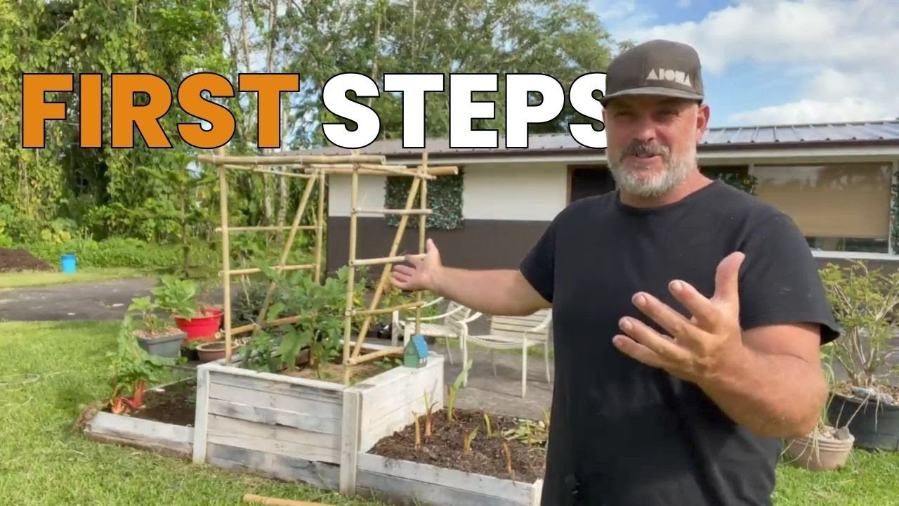 First Steps On Our New Homestead - YouTube