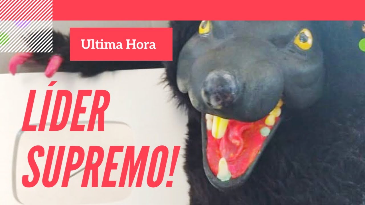 WOW! RATA POLÍTICA LOGRA UNIRNOS A LOS YOUTUBERS DE NOTICIAS Y SE ...