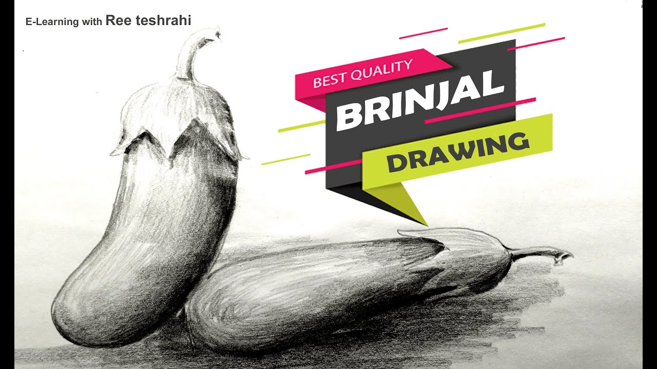 Brinjal Drawing II How to draw #brinjal step by step II #Baingan kaise ...