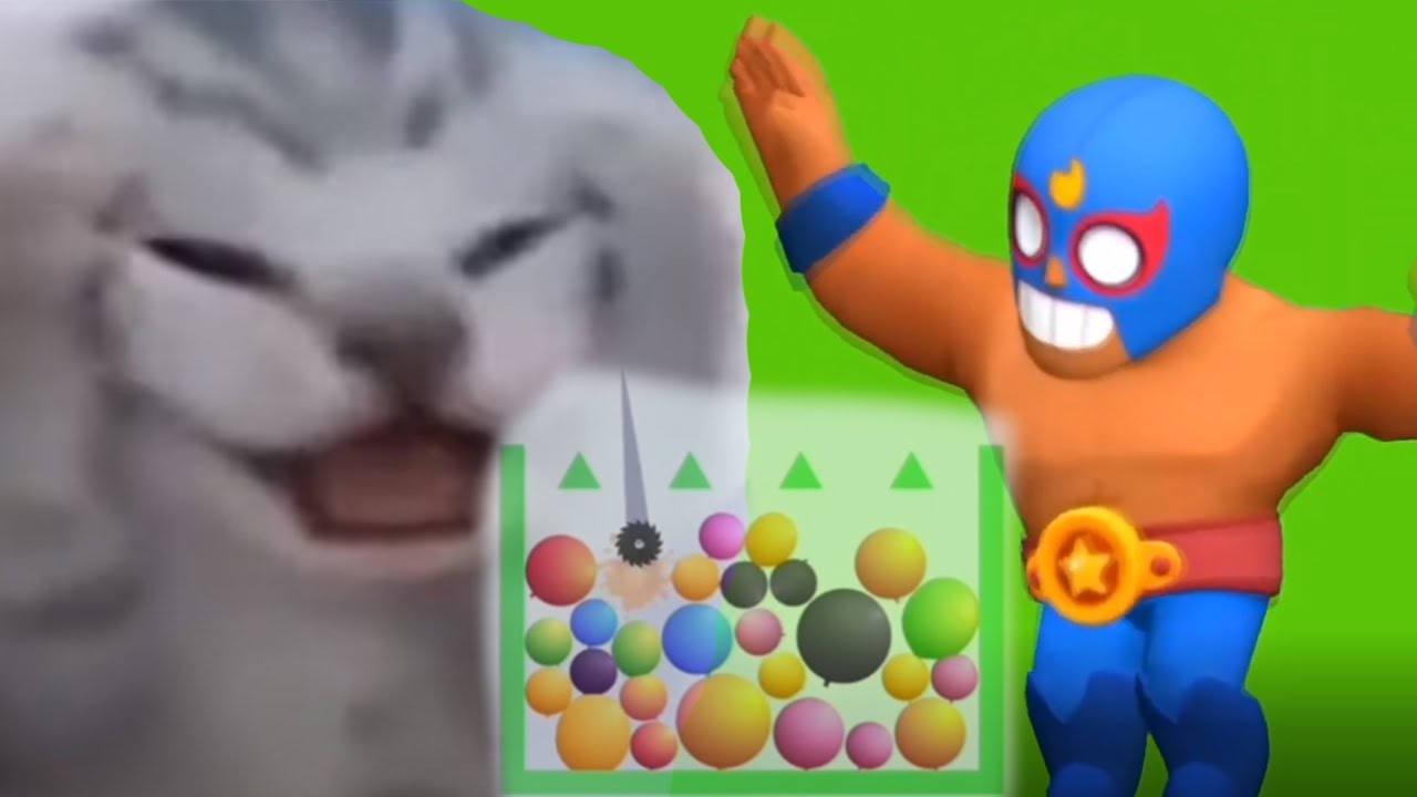 El Primo & Wild Cat: Bereberebarabara | #bounceandpop - YouTube