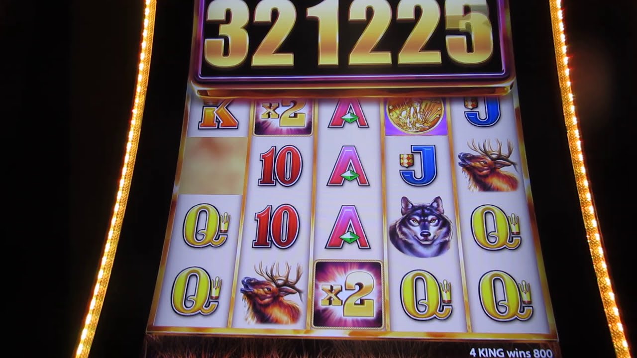 BUFFALO GRAND - BIG WIN!!!! - YouTube