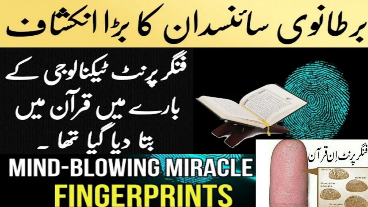 Fingerprints in Quran || Fingerprints in Islam || fingerprints ...
