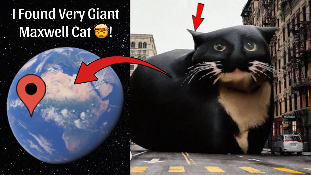 I Found a Very Giant Maxwell Cat in Real Life On Google Earth and ...