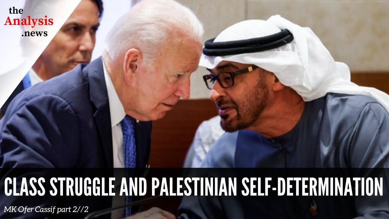 Class Struggle and Palestinian Self-Determination - MK Ofer Cassif part ...