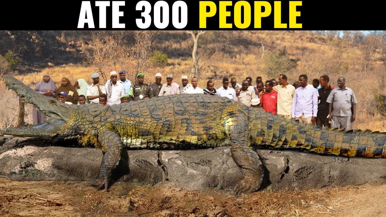 10 Most Feared Creatures In History! - YouTube
