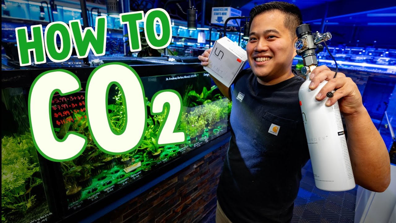 HOW TO SETUP A CO2 SYSTEM FOR YOUR AQUARIUM | ULTUM NATURE SYSTEMS ...