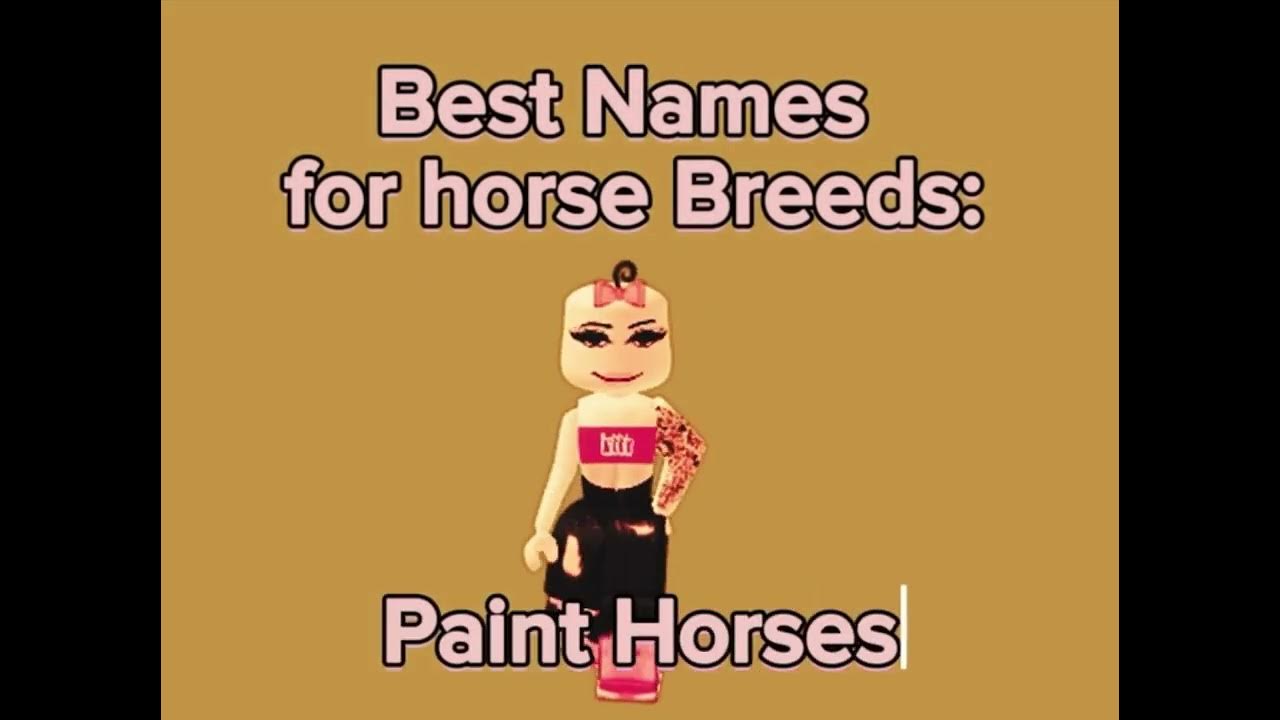 Rare Names For Paint Horses Horse Valley Inspired By shakirashorses rare-names-for-paint-horses-horse-valley-inspired-by-shakirashorses