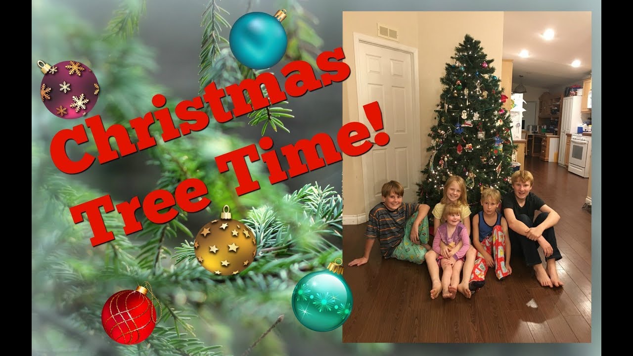Christmas Tree Time! - YouTube