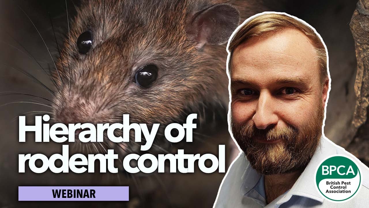 Hierarchy of rodent control webinar - YouTube
