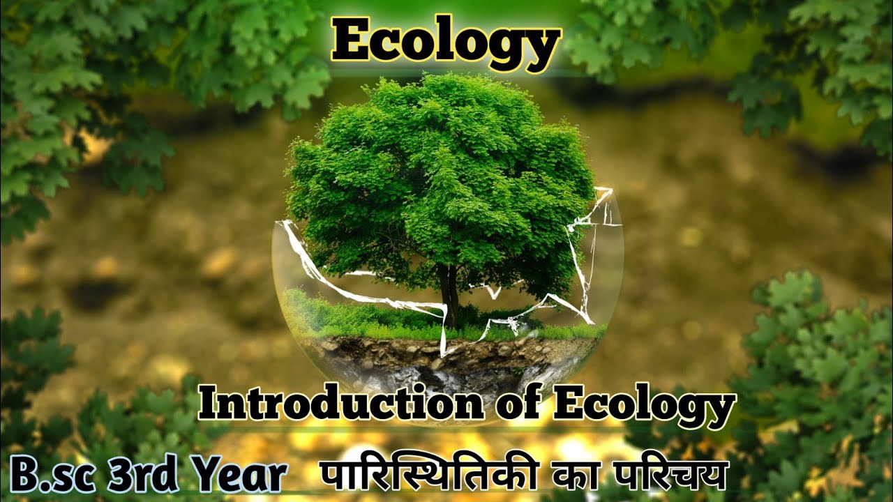 Ecology B.sc 3rd Year Zoology Introduction & Scope of Ecology B.sc 3rd ...