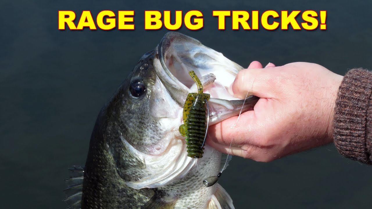 Rage Bug Tips That Work! | Bass Fishing - YouTube