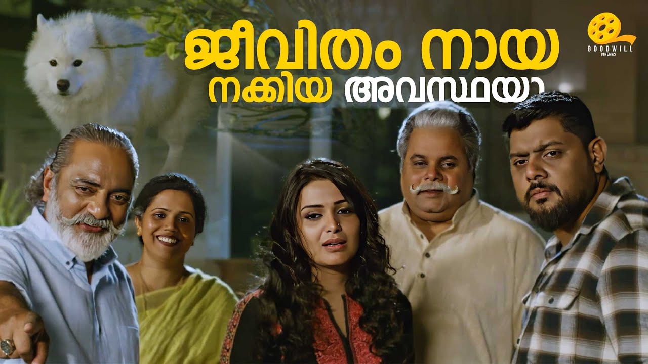 ജീവിതം നായ നക്കിയ അവസ്ഥയാ | Jimmy Ee Veedinte Aishwaryam | Mithun ...