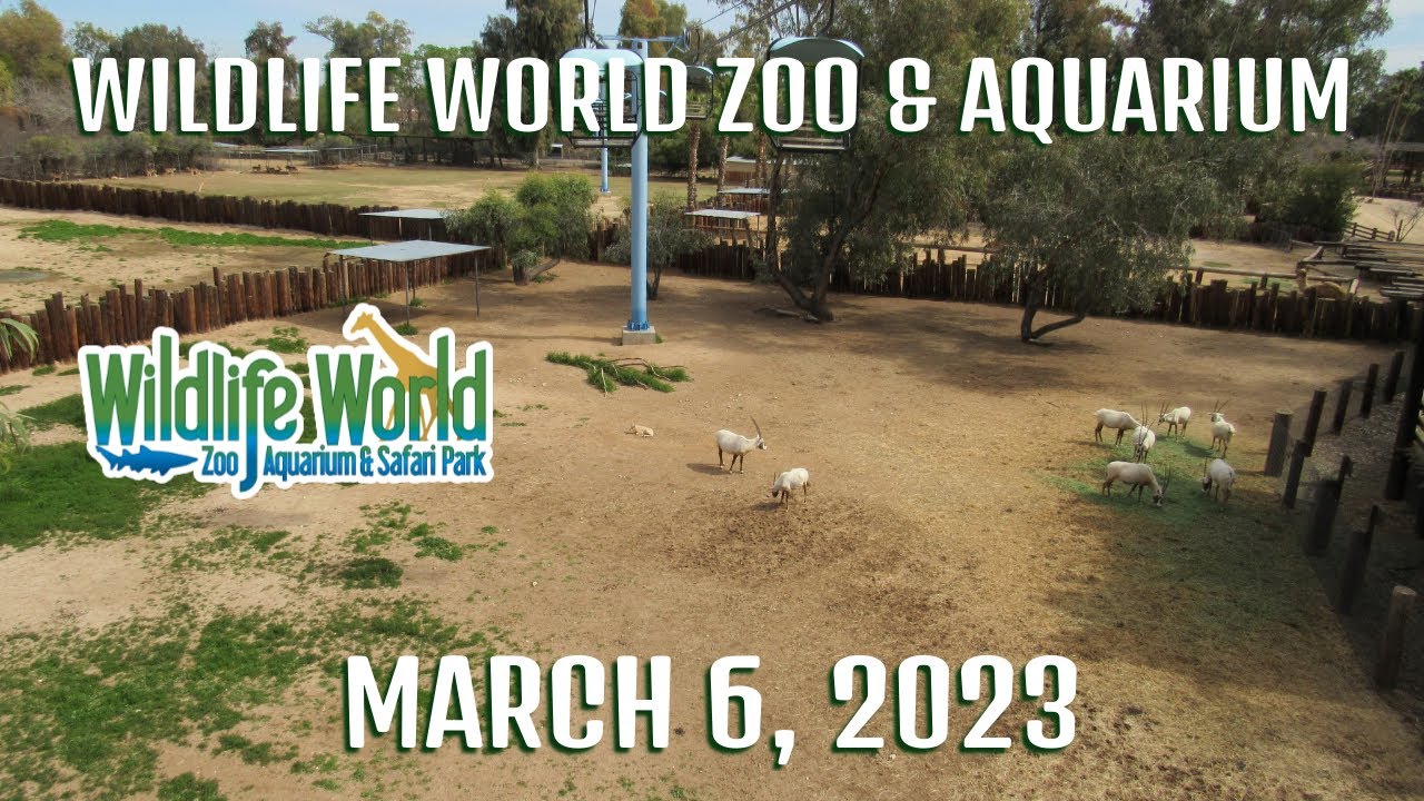 Wildlife World Zoo Aquarium March 6 2023 YouTube wildlife-world-zoo-aquarium-march-6-2023-youtube