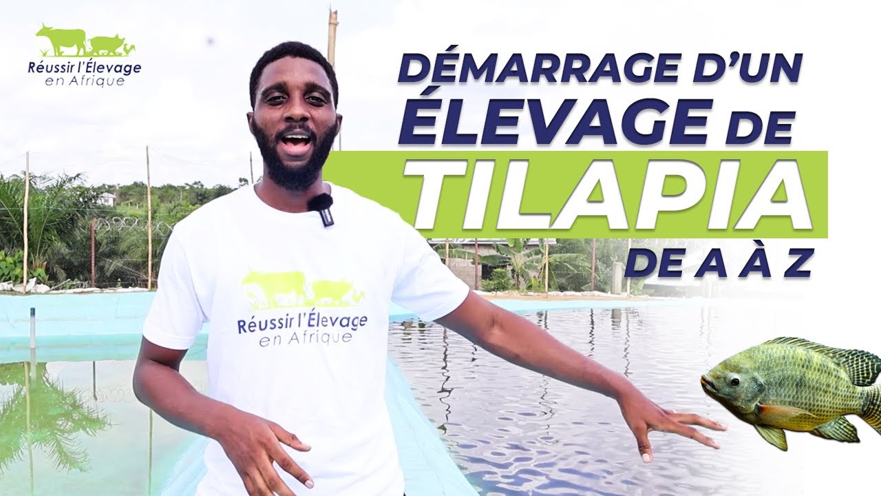 𝐏𝐈𝐒𝐂𝐈𝐂𝐔𝐋𝐓𝐔𝐑𝐄 : 𝐃𝐄𝐁𝐔𝐓𝐄𝐑 𝐒𝐈𝐌𝐏𝐋𝐄𝐌𝐄𝐍𝐓 𝐄𝐍 𝐄𝐋𝐄𝐕𝐀𝐆𝐄 𝐃𝐄 𝐓𝐈𝐋𝐀𝐏𝐈𝐀 - YouTube