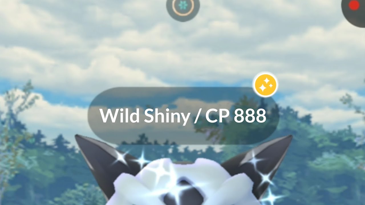 Got a FULLY EVOLVED ice type SHINY #pokemongo - YouTube