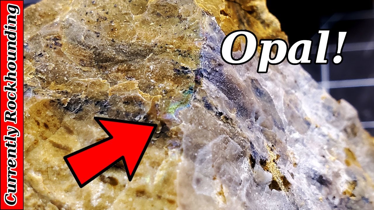 Common Opal of the Columbia Basin - YouTube