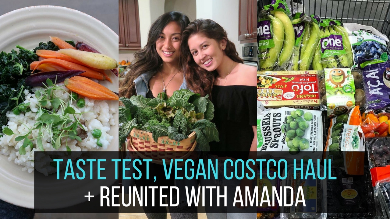 Taste Test, Vegan Costco Haul + Reunited with Amanda | VLOG :) - YouTube