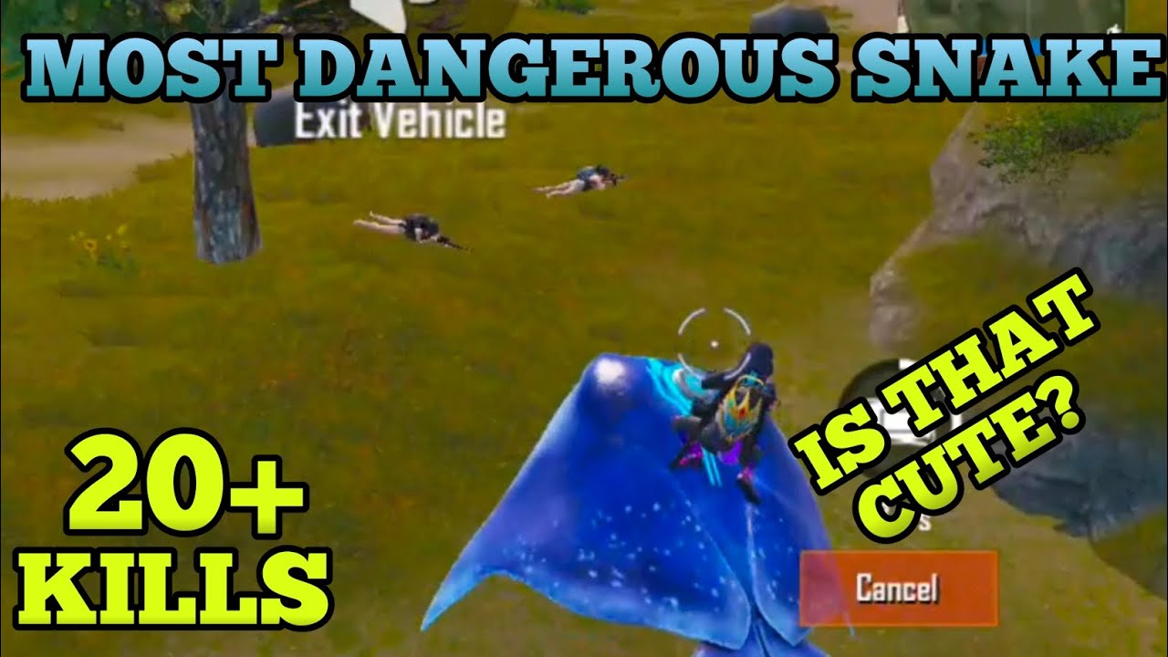 Cute Enemy's BGMI Rush Gameplay 3.3 | 20+ Kills By Zylen😈 - YouTube