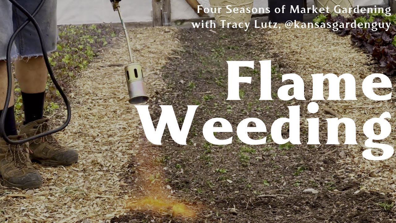 How to Flame Weed | Market Garden Bed Prep | Four Seasons of Market ...
