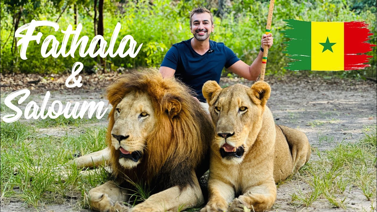 Fathala Vlog | Sine Saloum and Shell Island | Senegal Pt. 1 - YouTube