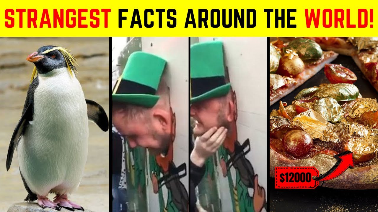 Top 20 Strange but True Facts from Around the World! - YouTube