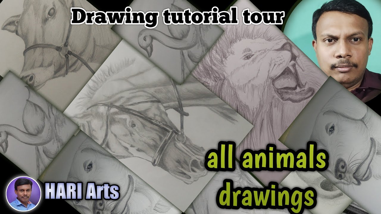 All types of Animals Drawing in Hari Arts tutorial | how to draw a ...