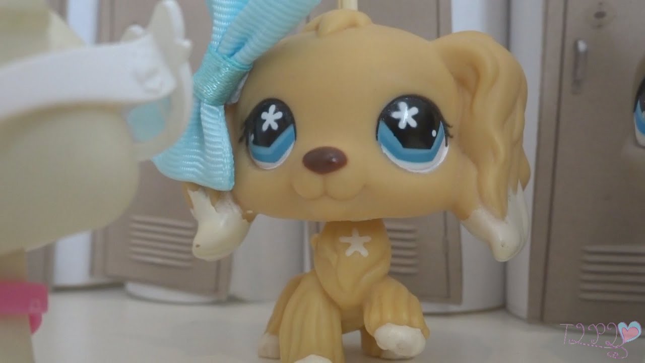 LPS Series-Other Way Around #6-Mixed Feelings - YouTube