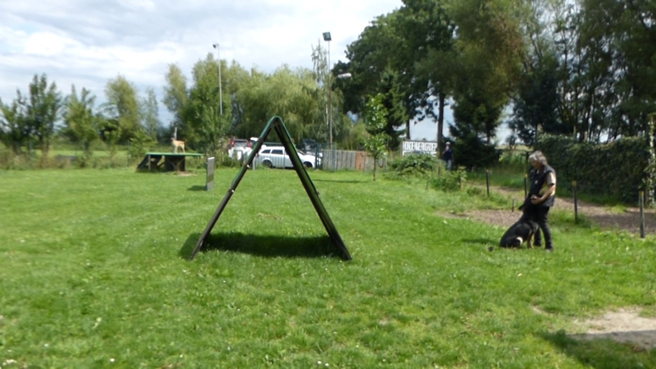 Zoelen Xammy vid A B C 6aug17 012 - YouTube