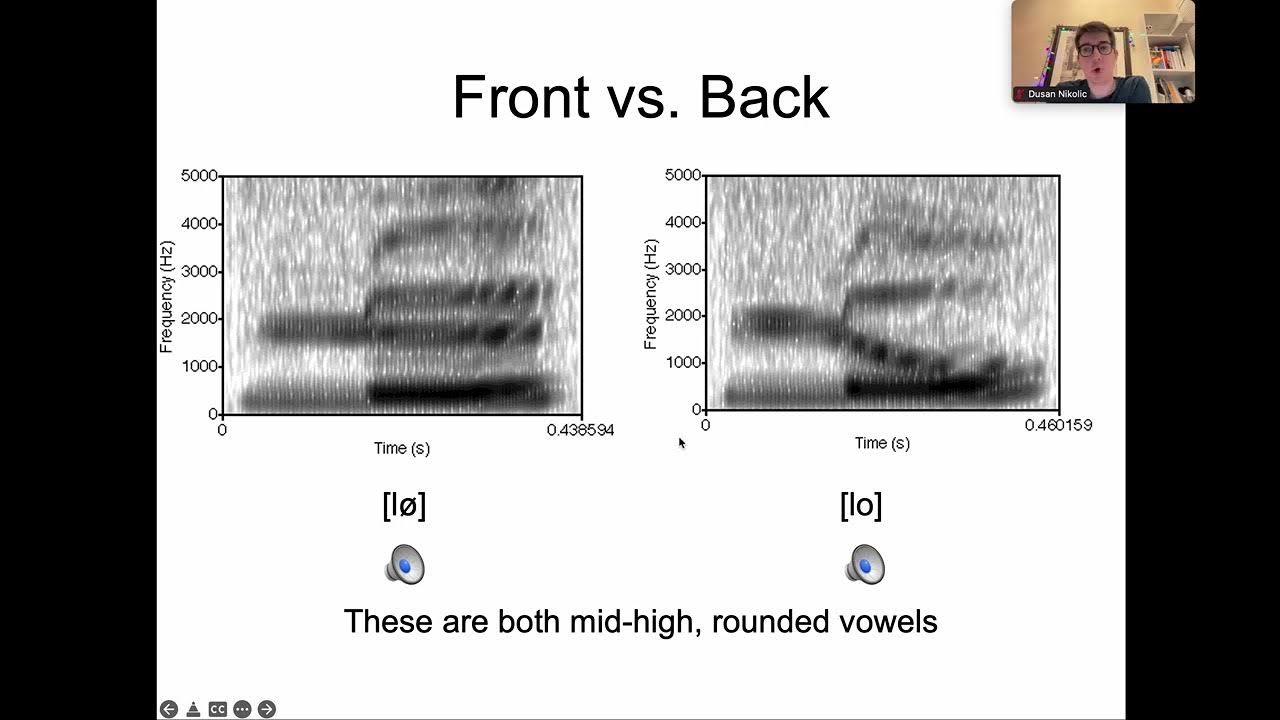 Linguistics 341 - Introduction to Phonetics - Vowels Around the World ...