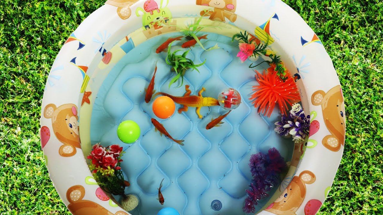 Golden Fish's Underwater Playground - YouTube
