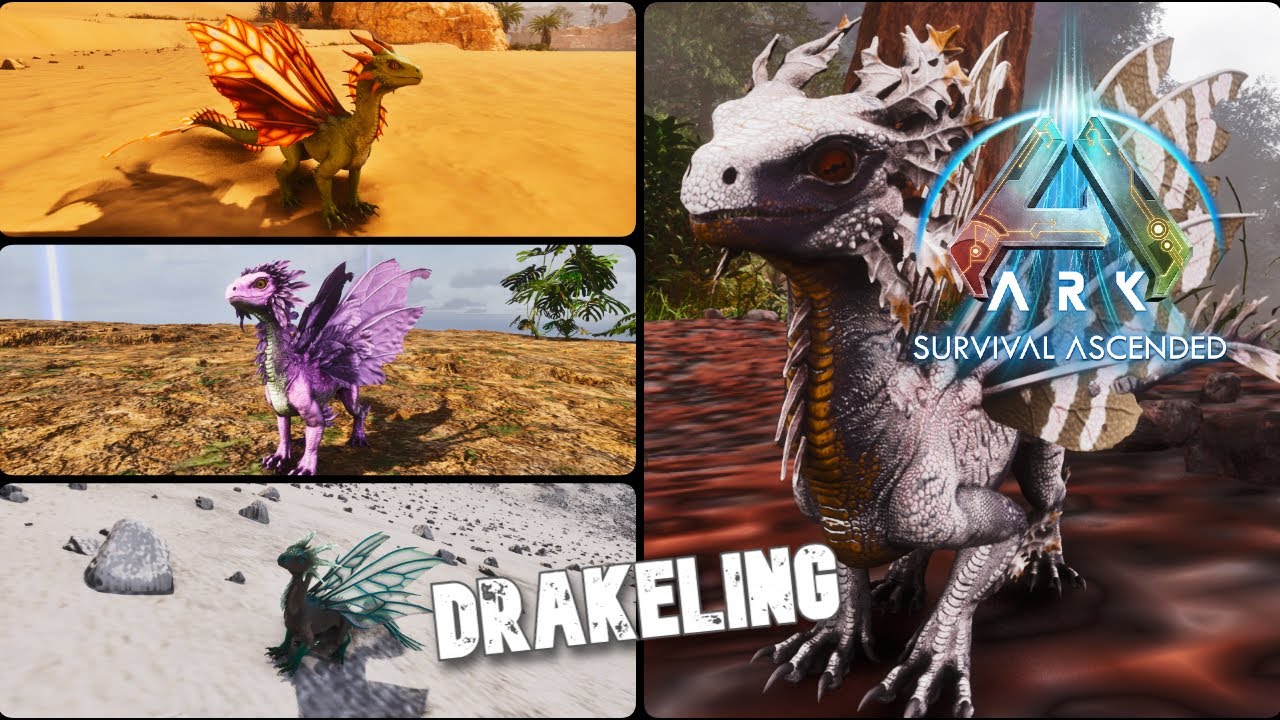 Taming A Drakeling | Ark Survival Ascended | Ragnarok - YouTube