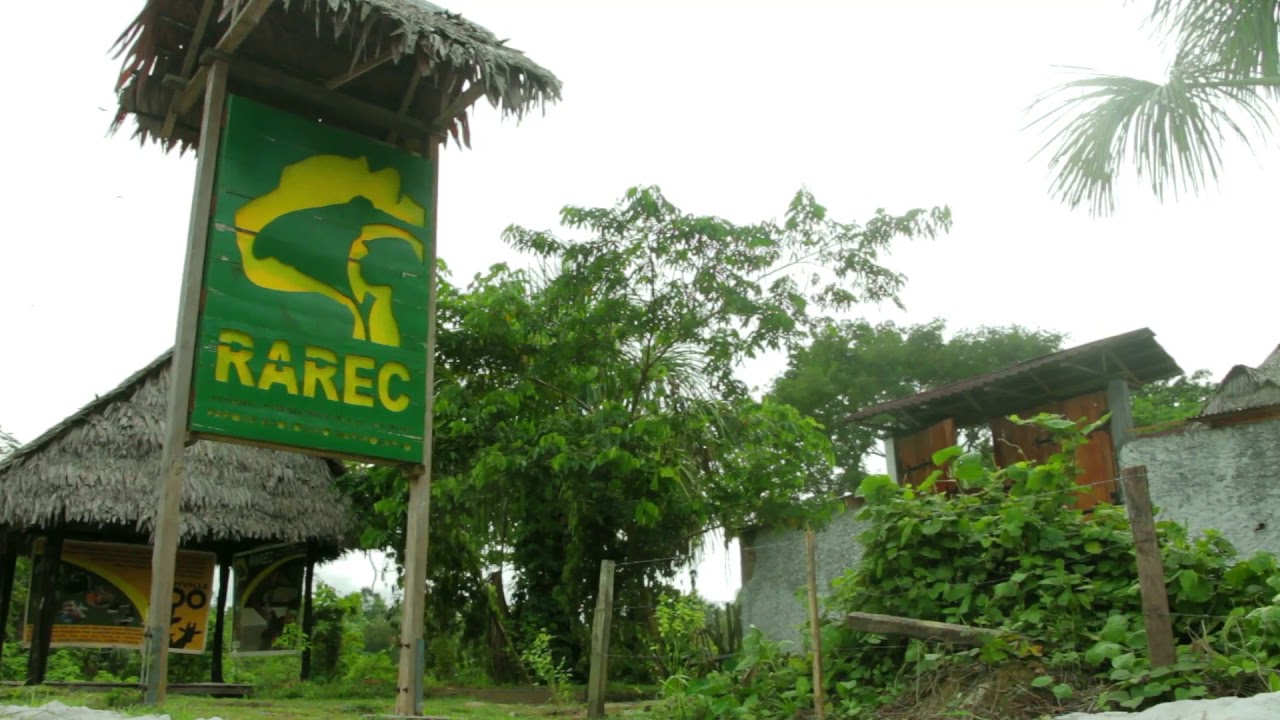 RAREC CENTER - YouTube