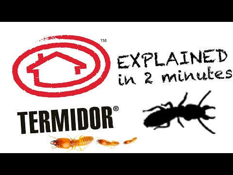 How Effective Is Termidor For Termites