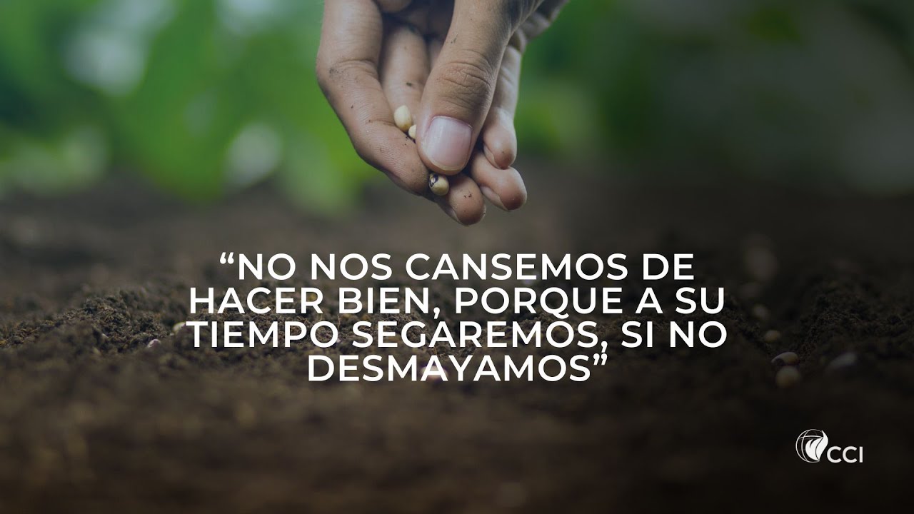 "No nos cansemos de hacer bien, porque a su tiempo segaremos, si no ...