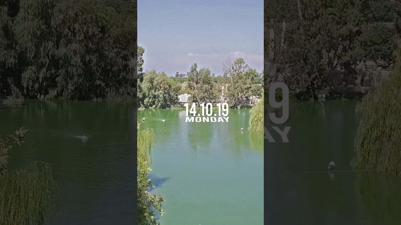 INVITE FOR PALAVRA HAVAT RONIT - YouTube