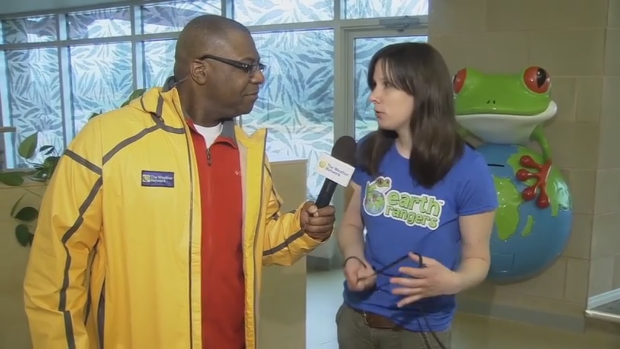 The Weather Network’s Kevin Yarde meets Animal Ambassador Mayah! - YouTube