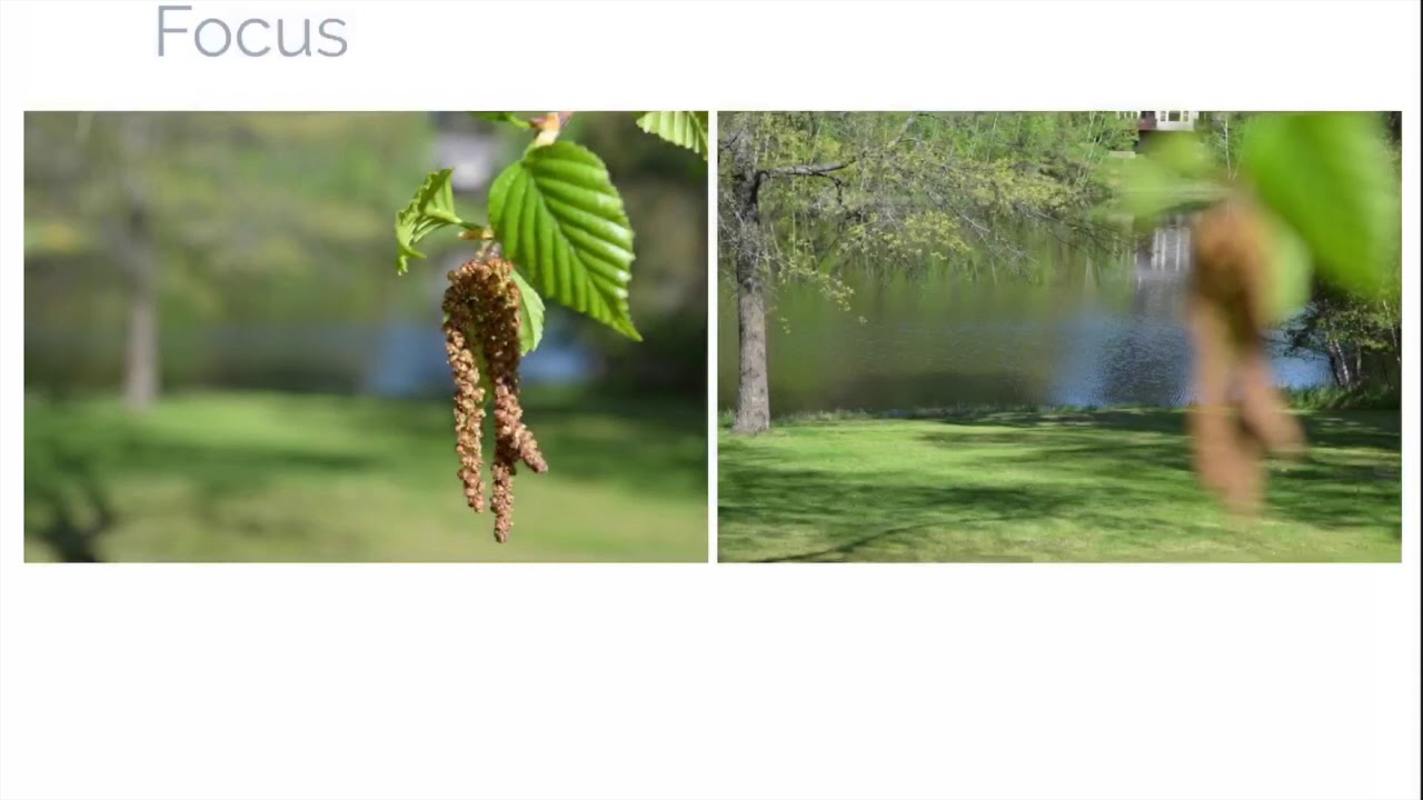 Photography mini project 2020 - YouTube
