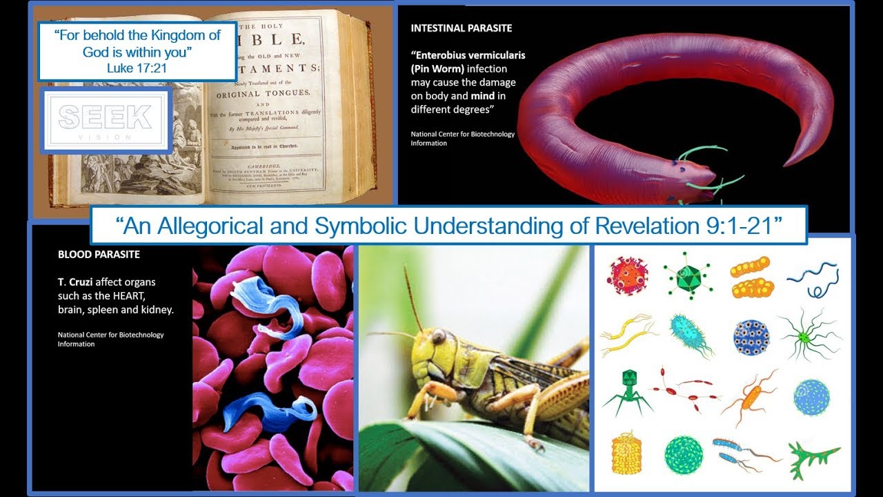 Revelation 9 - Bible Symbolism / Sacred Secretion / Plague of Locusts ...