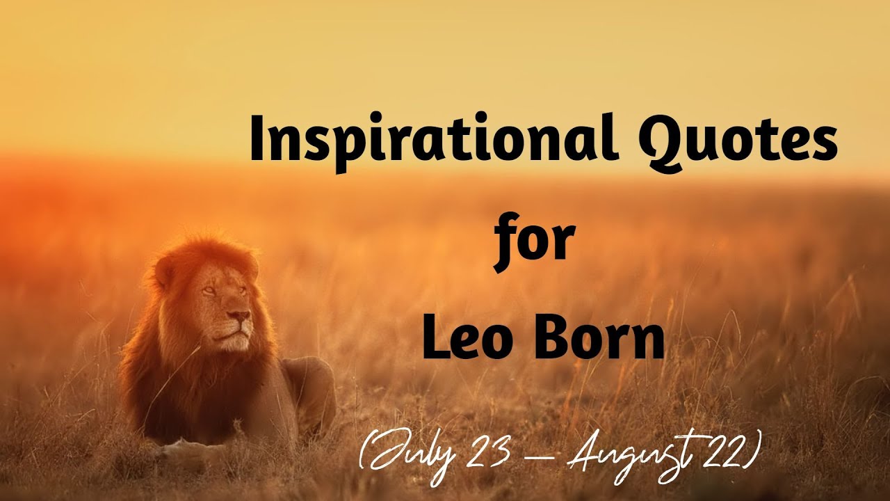 Born A Lion Quotes