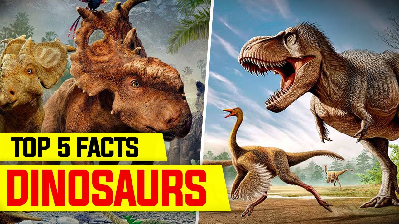 5 Most Important Facts You Never Know About Dinosaurs! - YouTube