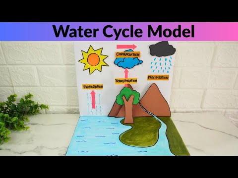 Water Cycle 3D Model | Easy School Project | DIY Evaporation Condensation Precipitation Craft