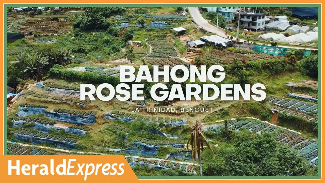 Benguet Aerial Tour: Bahong Rose Gardens - YouTube